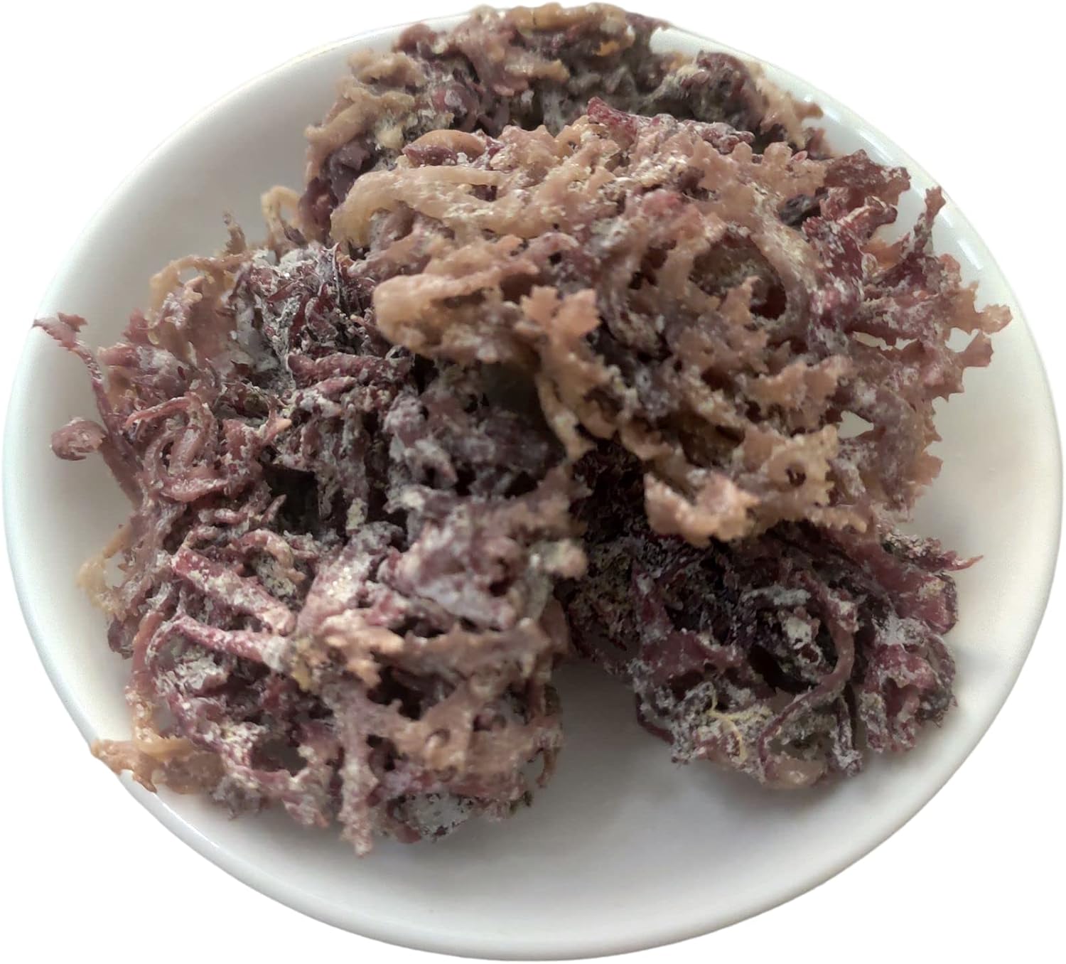 Dried Red Sea Moss 100g : Amazon.co.uk: Grocery