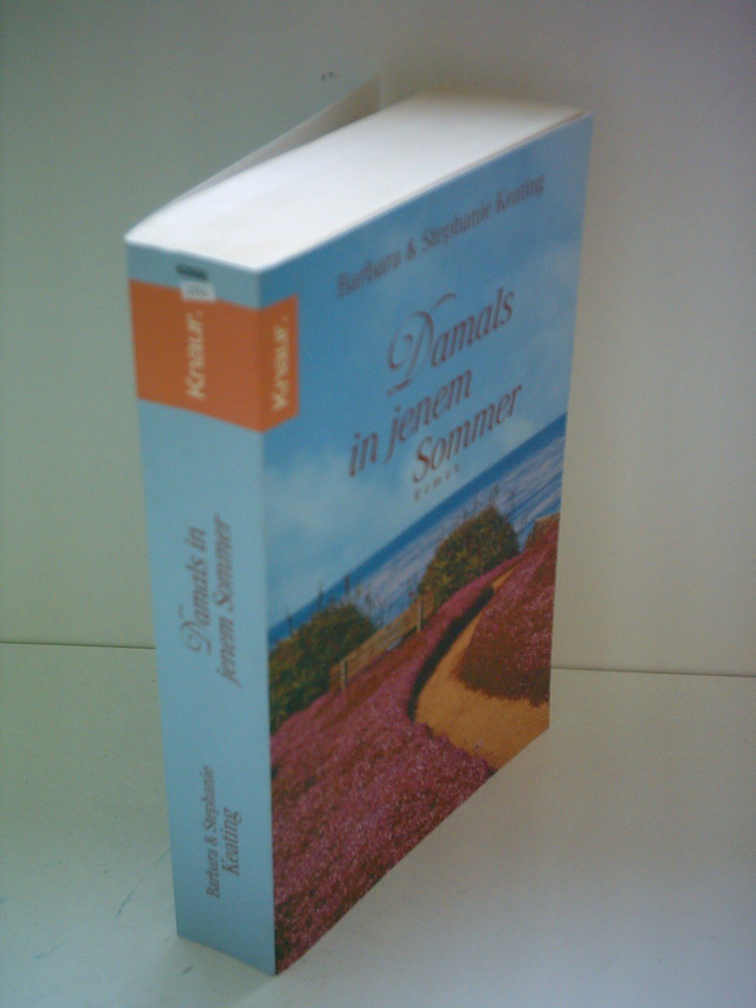 Amazon.com: Damals in jenem Sommer.: 9783426626665: Stephanie Keating ...