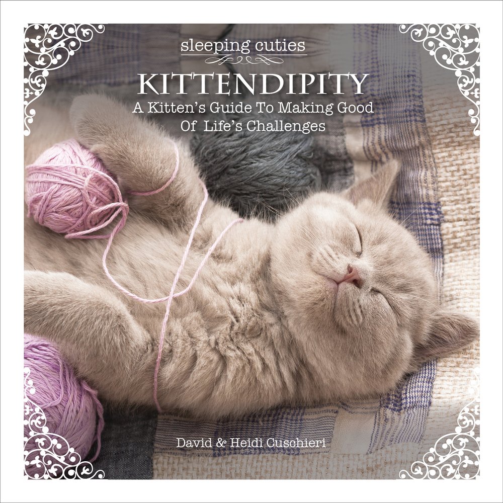 Kittendipity: A Kitten's Guide to Making Good of Life's Challenges ...