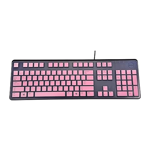Amazon.com: Keyboard Cover for Dell L100 SK-8115 SK-3205 104-key USB ...