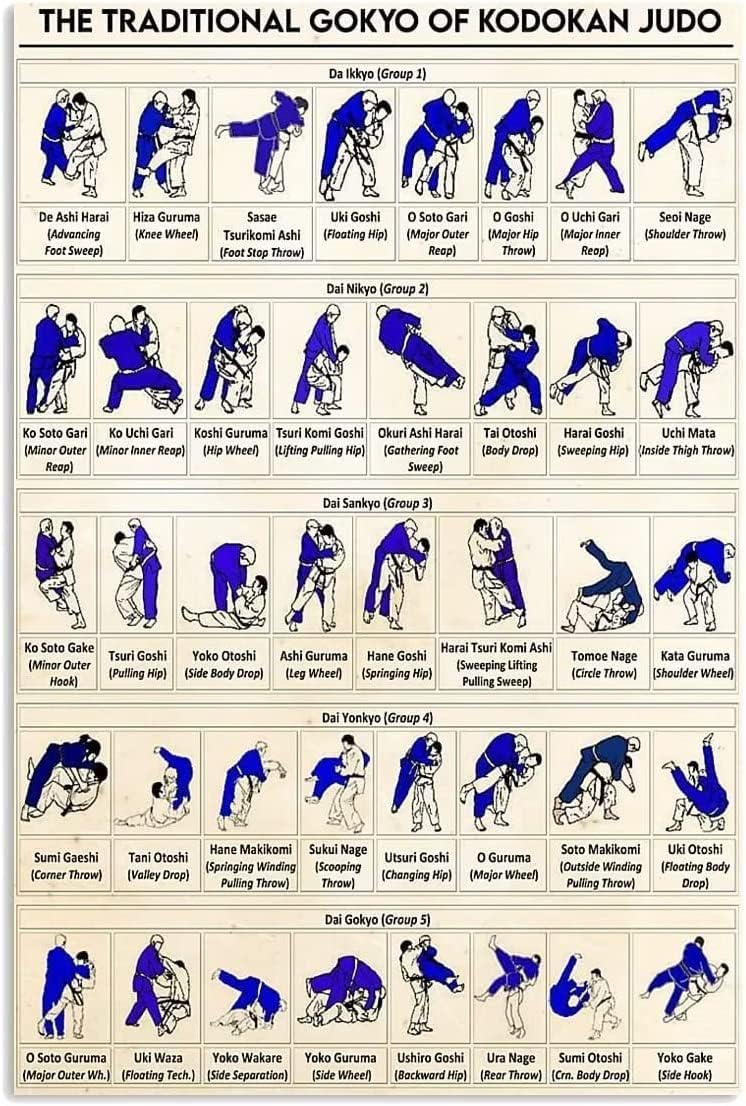 Amazon.com: Starotore Judo Learning Poster Wall Art The Traditional ...