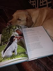 The Happy Dog Cookbook: Biscuits, Burgers,... by Sean McCormack