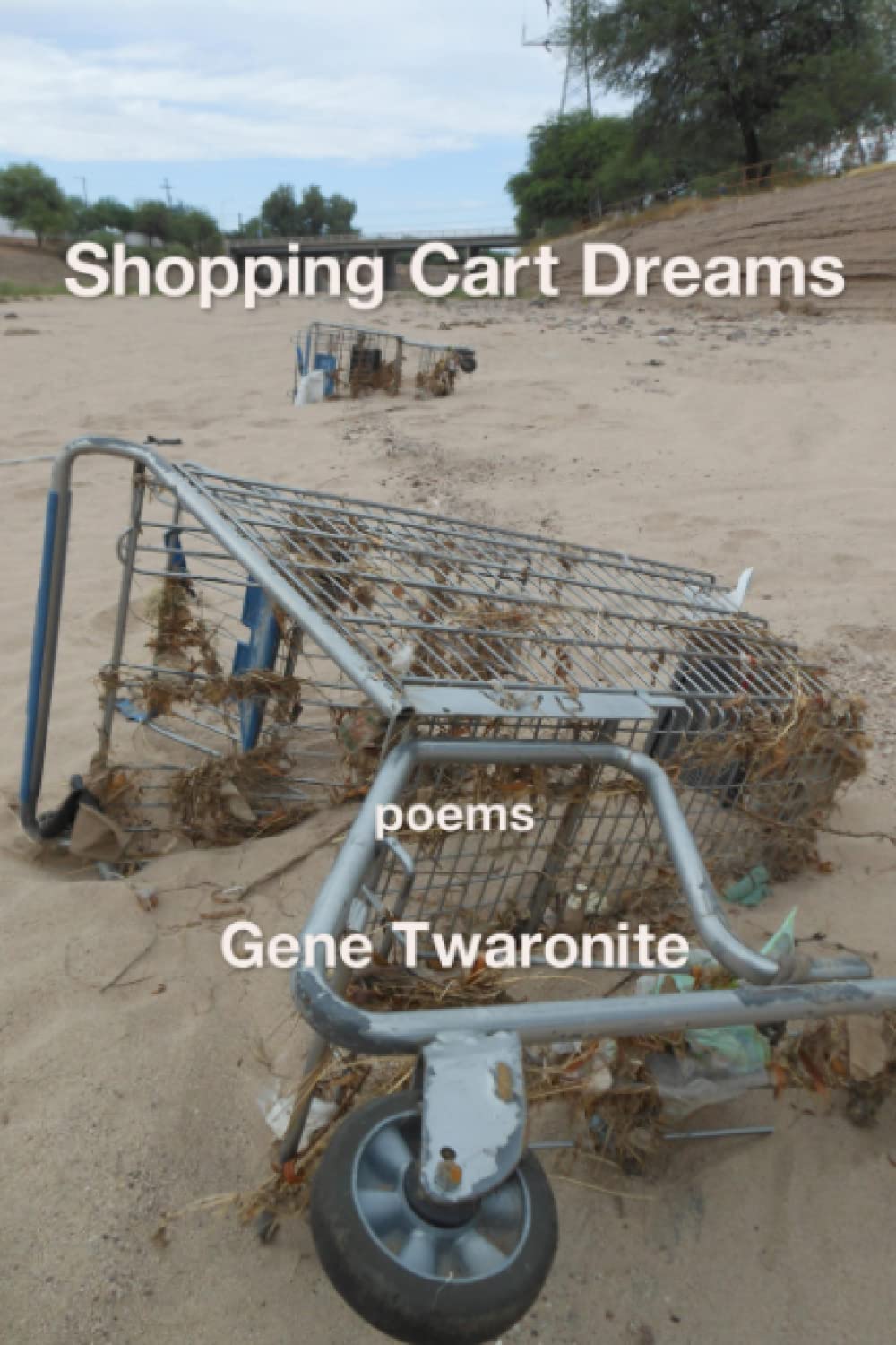 Shopping Cart Dreams: Twaronite, Gene: 9781639801275: Amazon.com: Books