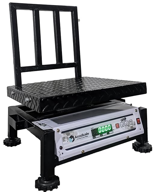 AccuScale (AS-10) Weight Capacity 200kg x 10g Accuracy, Movable ...