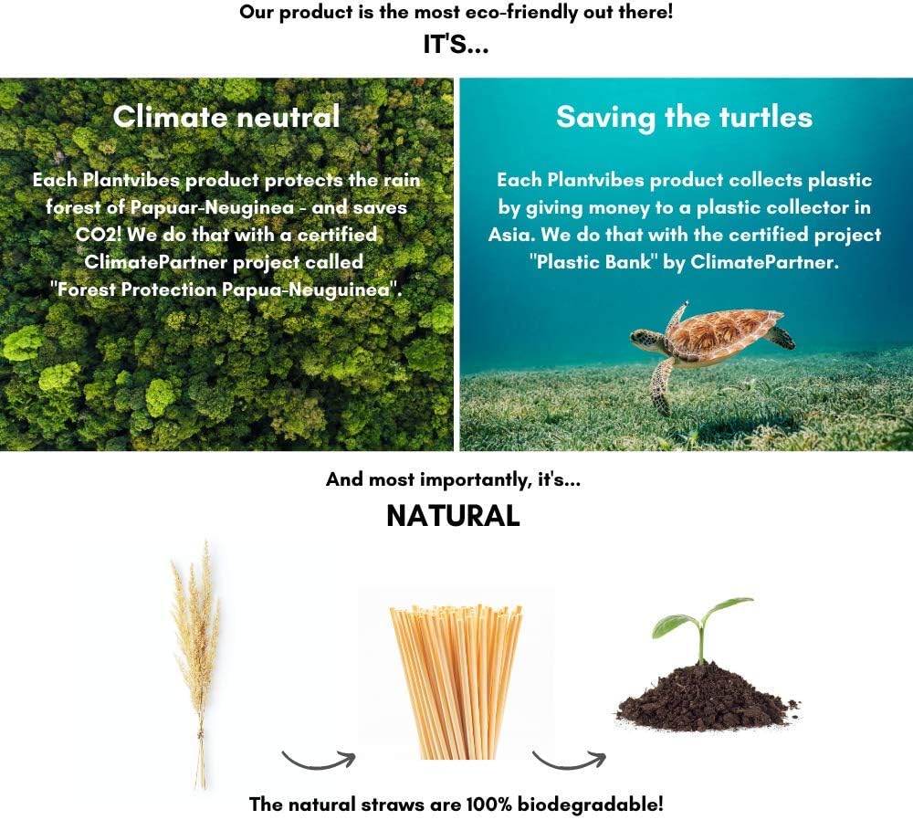Plantvibes® 100 Organic Straws, Drinking-Straw, CO2 Neutral ...