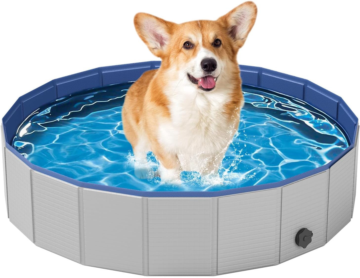 Amazon.com: Folding Dog Pool, Portable PVC Swimming Pool 24 x 8 Inch ...