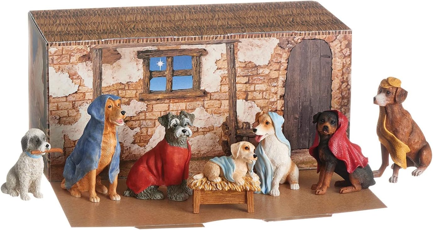 Amazon.com: Dogs with Blanket Robes Christmas Nativity 7 Piece Set ...