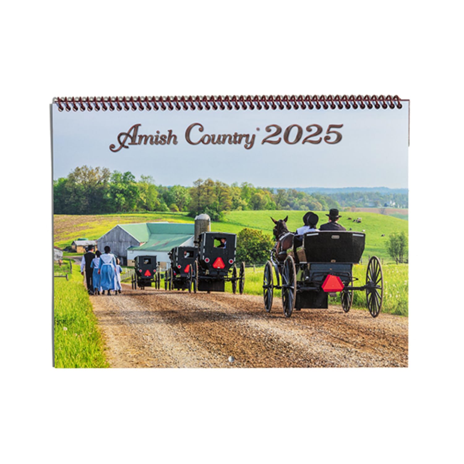Amazon.com: Doyle Yoder Amish Country 2025 Wall Calendar, 12 x 18 inch ...