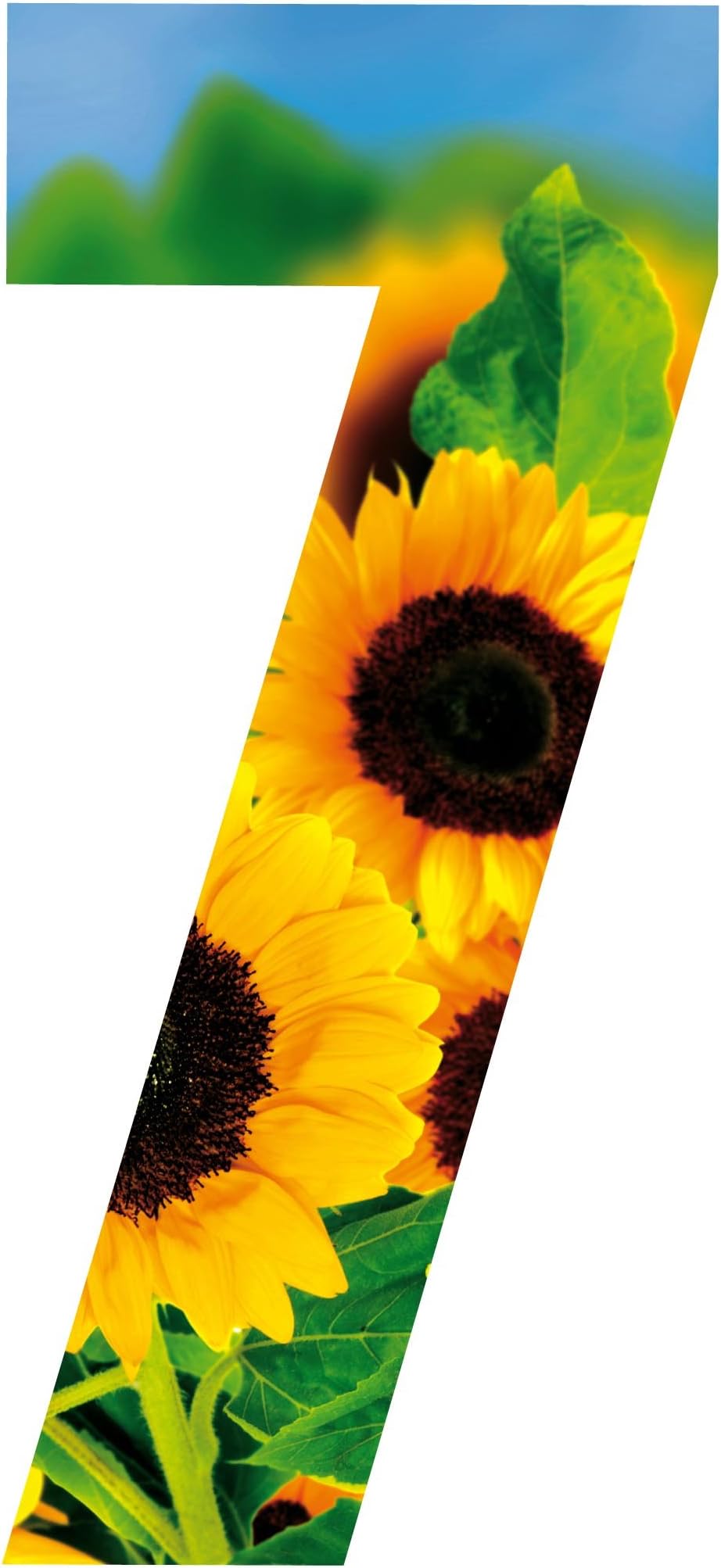 WHL Pack of 3 Wheelie Bin House Numbers - Sunflower Number 7 : Amazon ...