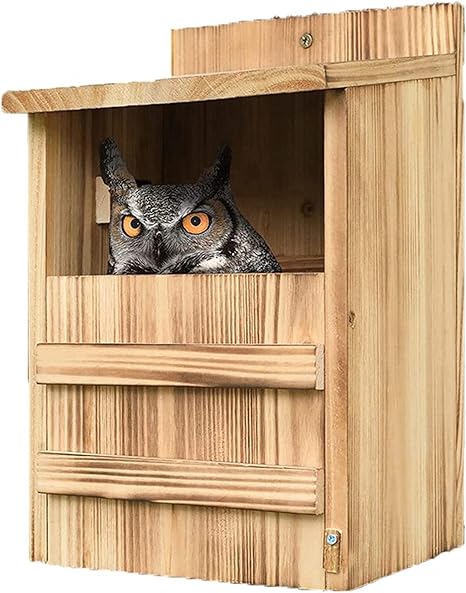 Amazon.com: Big Owl House,Screech Owl House,Owl Nesting Box Owl Bird ...