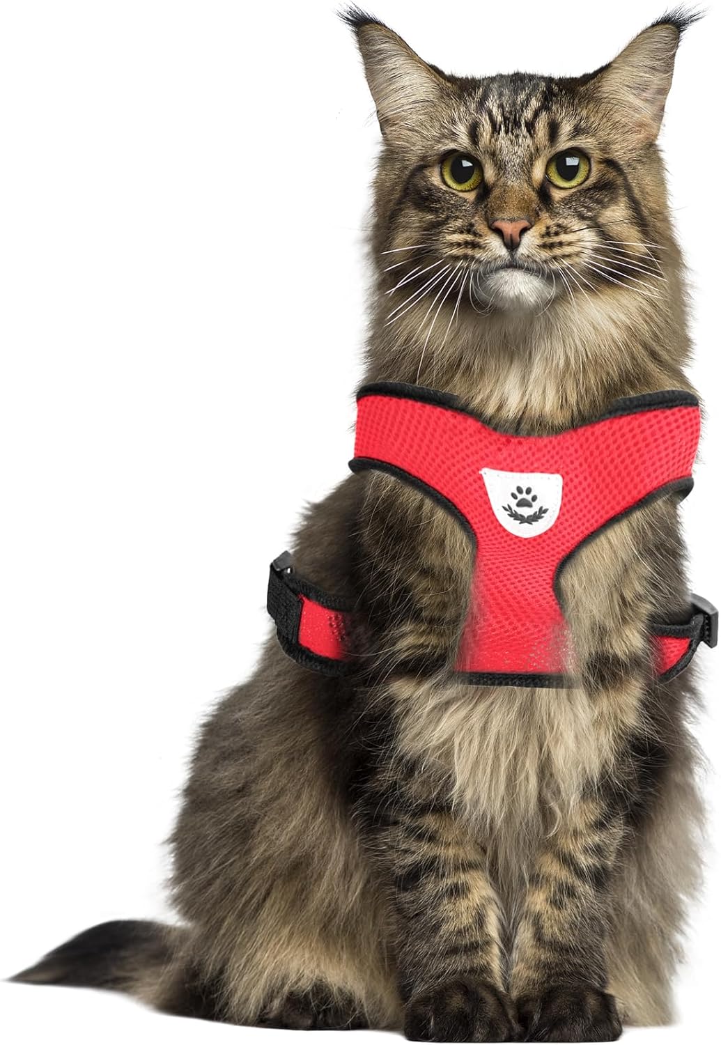 Pet Supplies : shudyear Summer cat Chest Harness and Leash, Anti-Escape ...