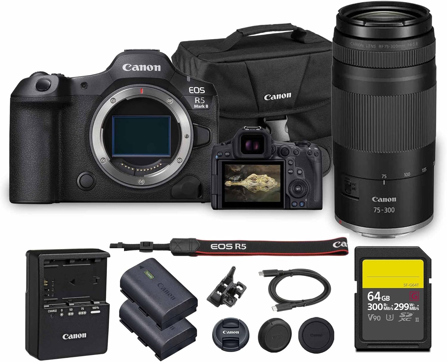 Amazon.com : Canon EOS R5 Mark II Mirrorless Camera | 45MP Full Frame ...