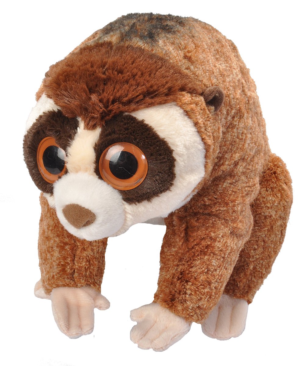 Buy Wild Republic Slow Loris Plush Online at Low Prices in India ...