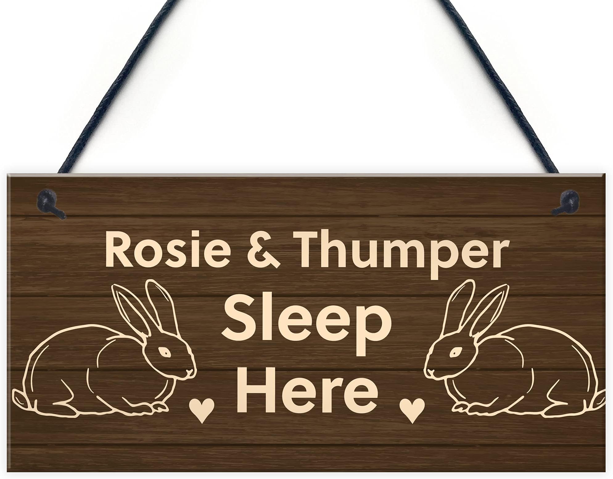 Artisan BEWARE OF THE RABBIT HOUSE/GARDEN WALL PLAQUE (Black) : Amazon ...