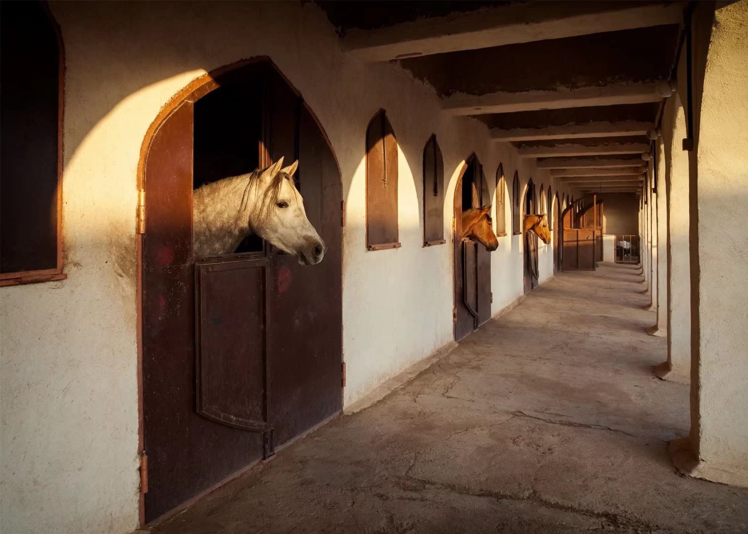 Horse Barn Background