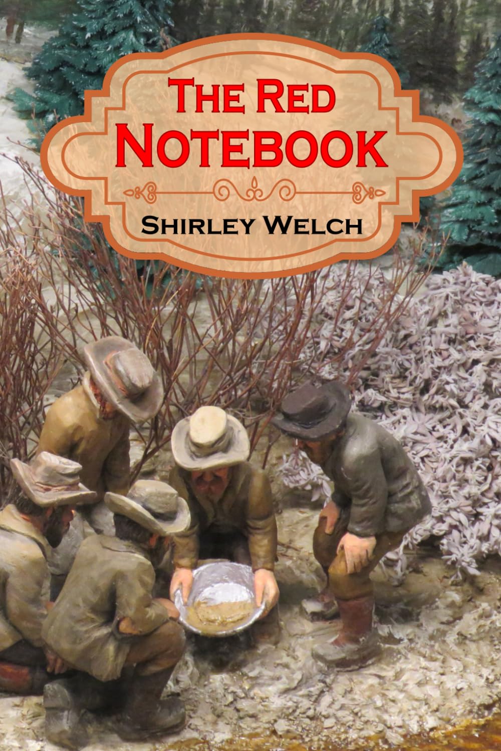 Amazon.com: The Red Notebook: 9798870343075: Welch, Shirley: Books