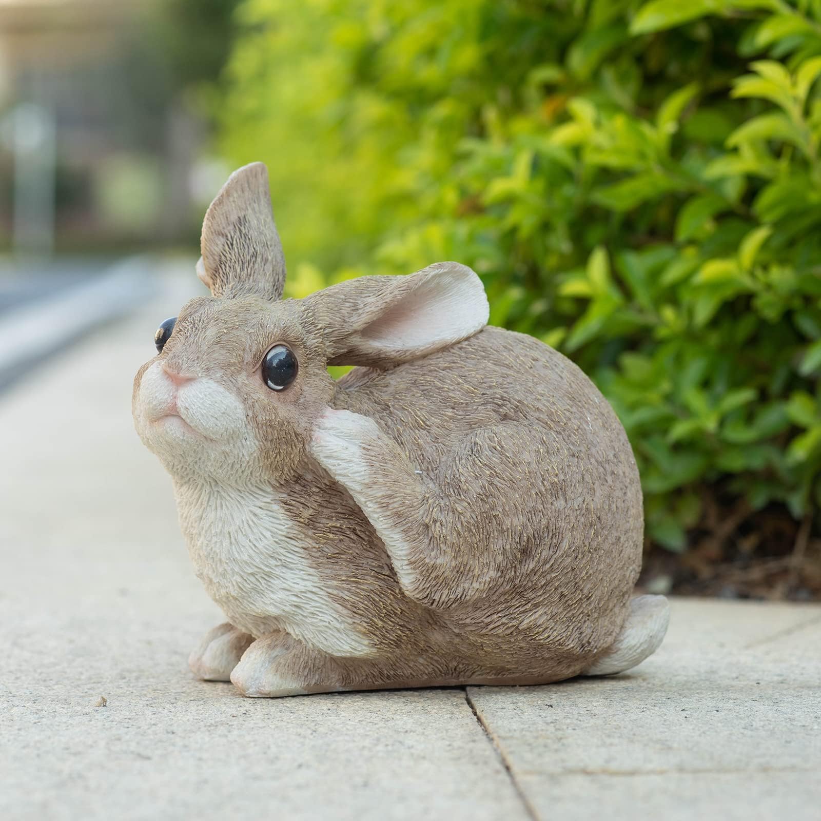 Amazon.com : Hi-Line Gift 87685-C Chubby Rabbit Standing : Patio, Lawn ...