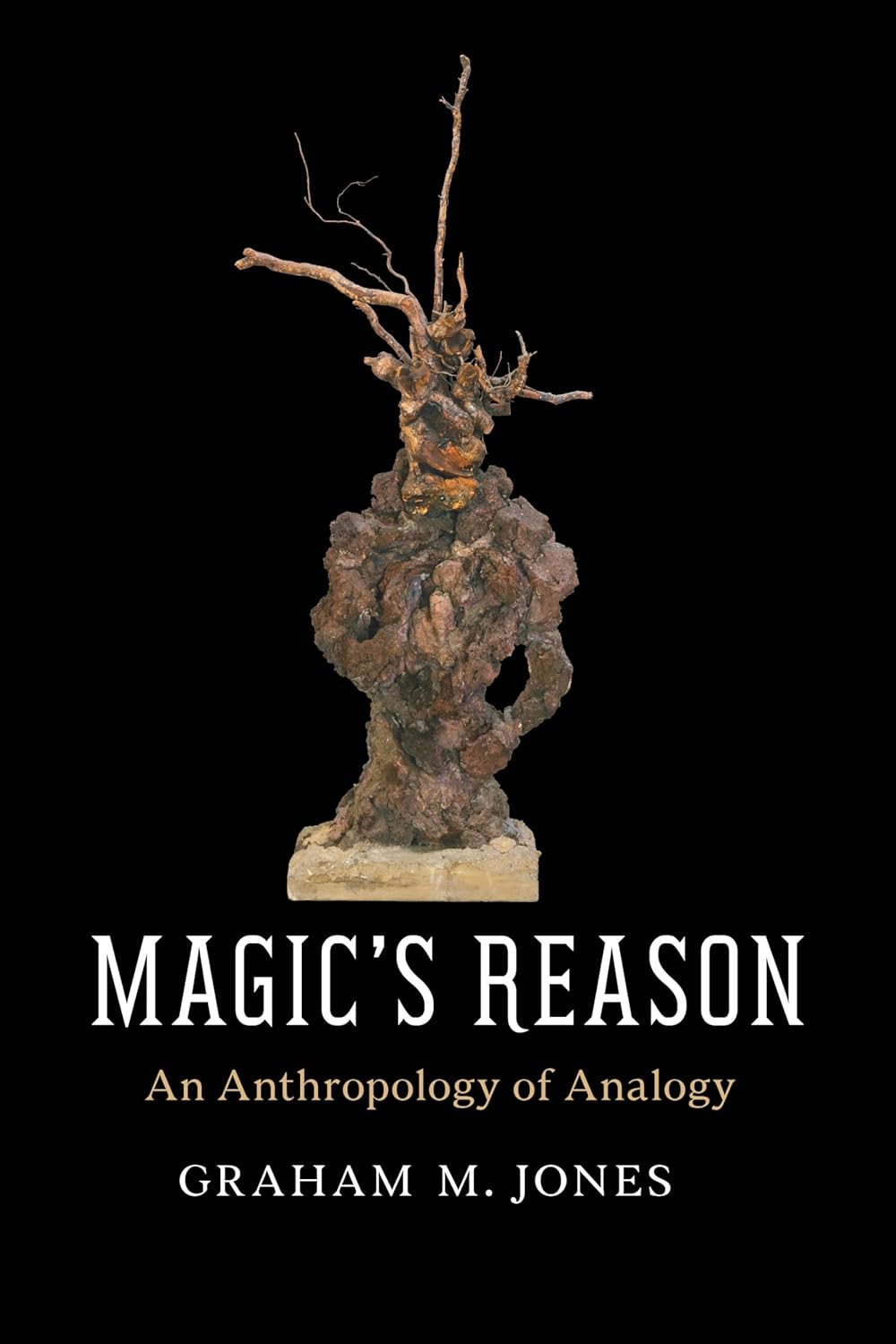 Magic's Reason: An Anthropology of Analogy - Kindle edition by Jones ...