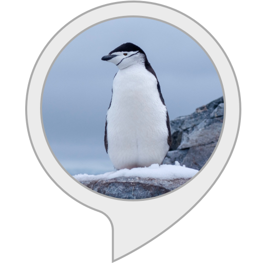 Amazon.in: Antarctica Penguin Park : Alexa Skills