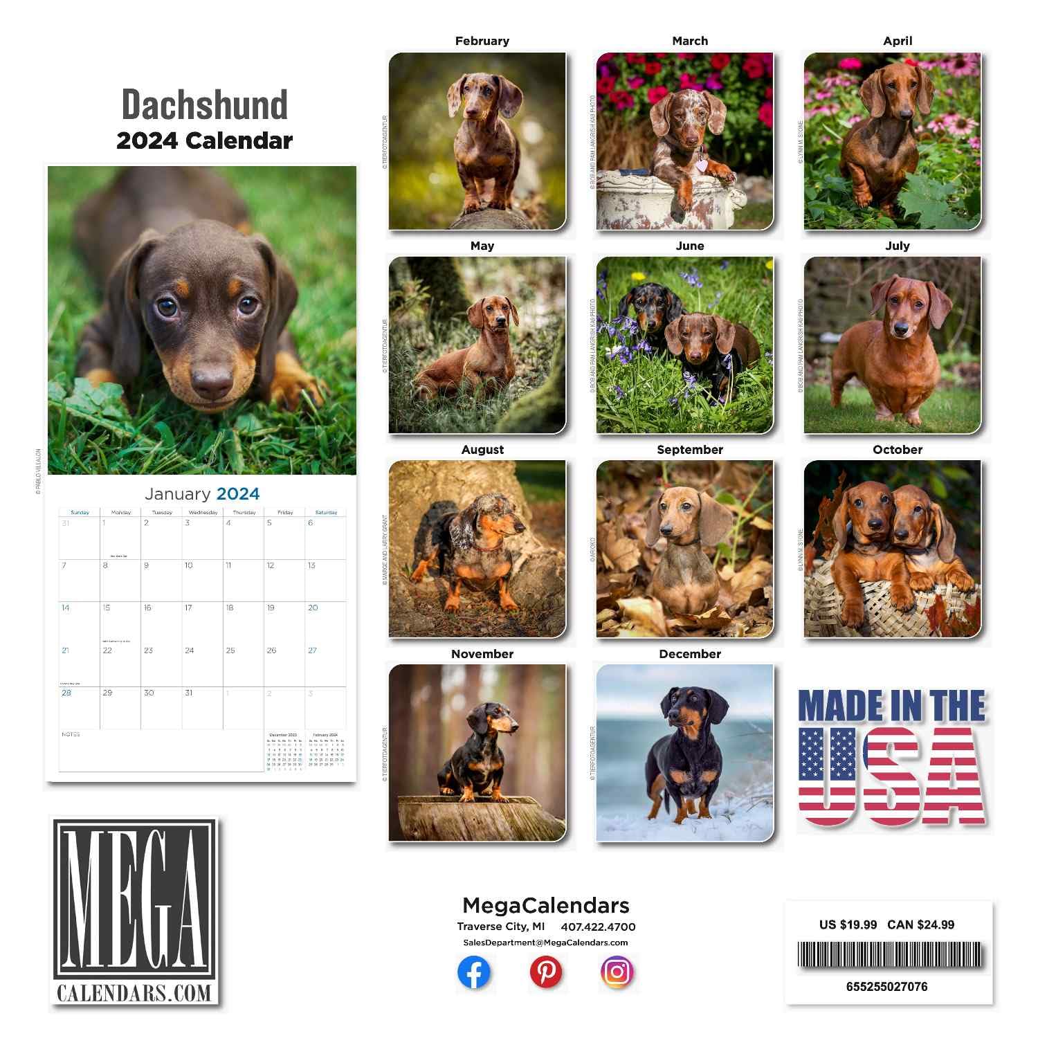 Snapklik.com : 2025 Dachshund Calendar - Dog Breed Wall Calendar - 12 X ...