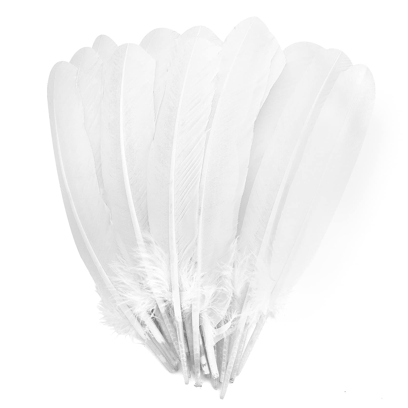 Amazon.com: HaiMay 25 Pieces White Feathers for Craft Wedding Home ...