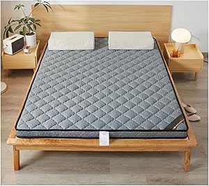 Amazon.com: Generic Queen Mattress Topper, Natural Coir, Fiber, Latex ...
