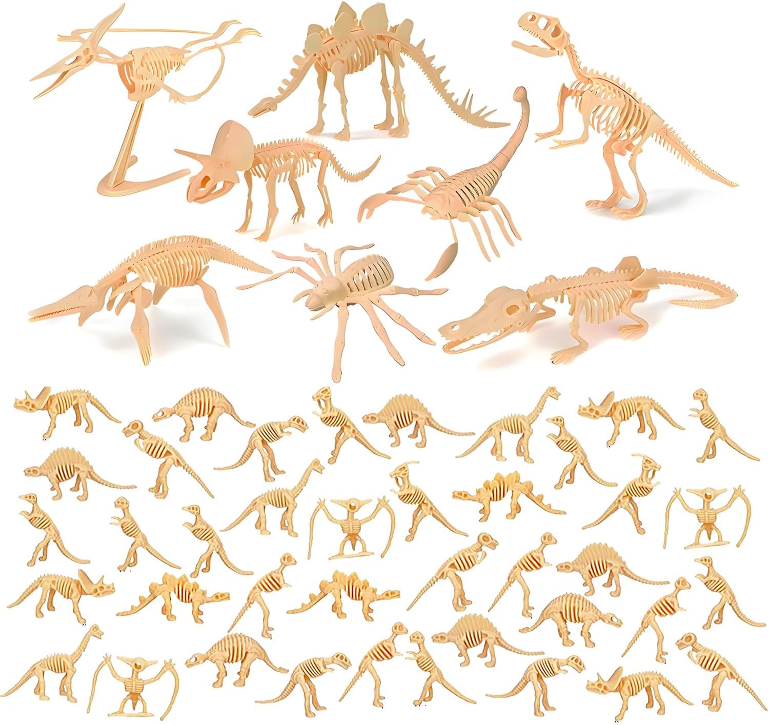 Amazon.com: ZXSWEET 48 PCS Dinosaur Fossil Skeleton Toys Plastic ...