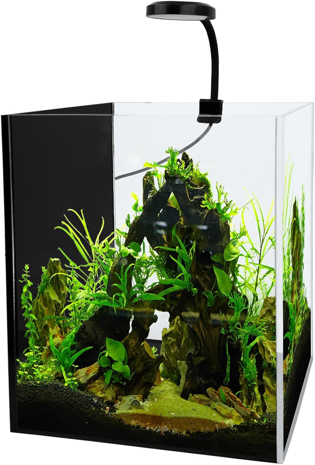 HEURYTEP Glass Betta Fish Tank, 2 Gallon Glass Fish Tank with LED Light ...