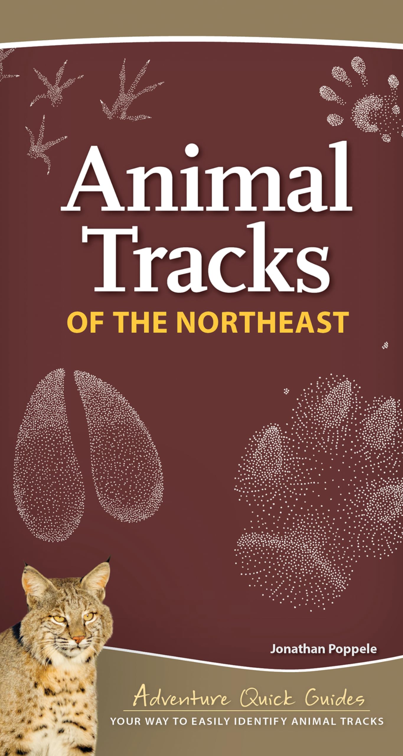 Snapklik.com : Animal Tracks Of The Northeast: Your Way To Easily ...