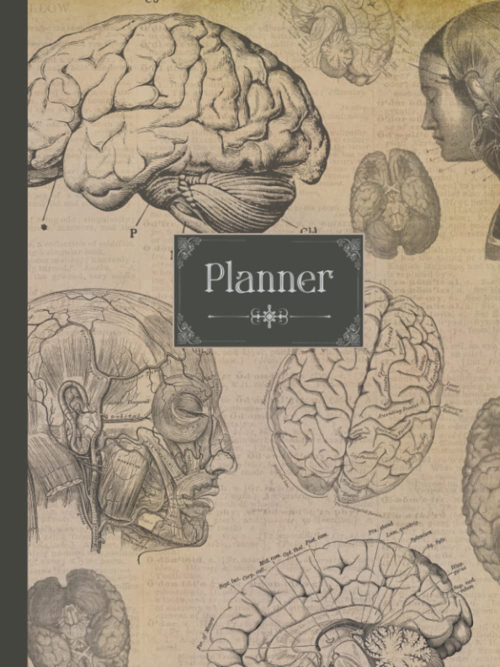 Planner: Anatomy planner. Large undated weekly planner. 8.5x11 weekly ...