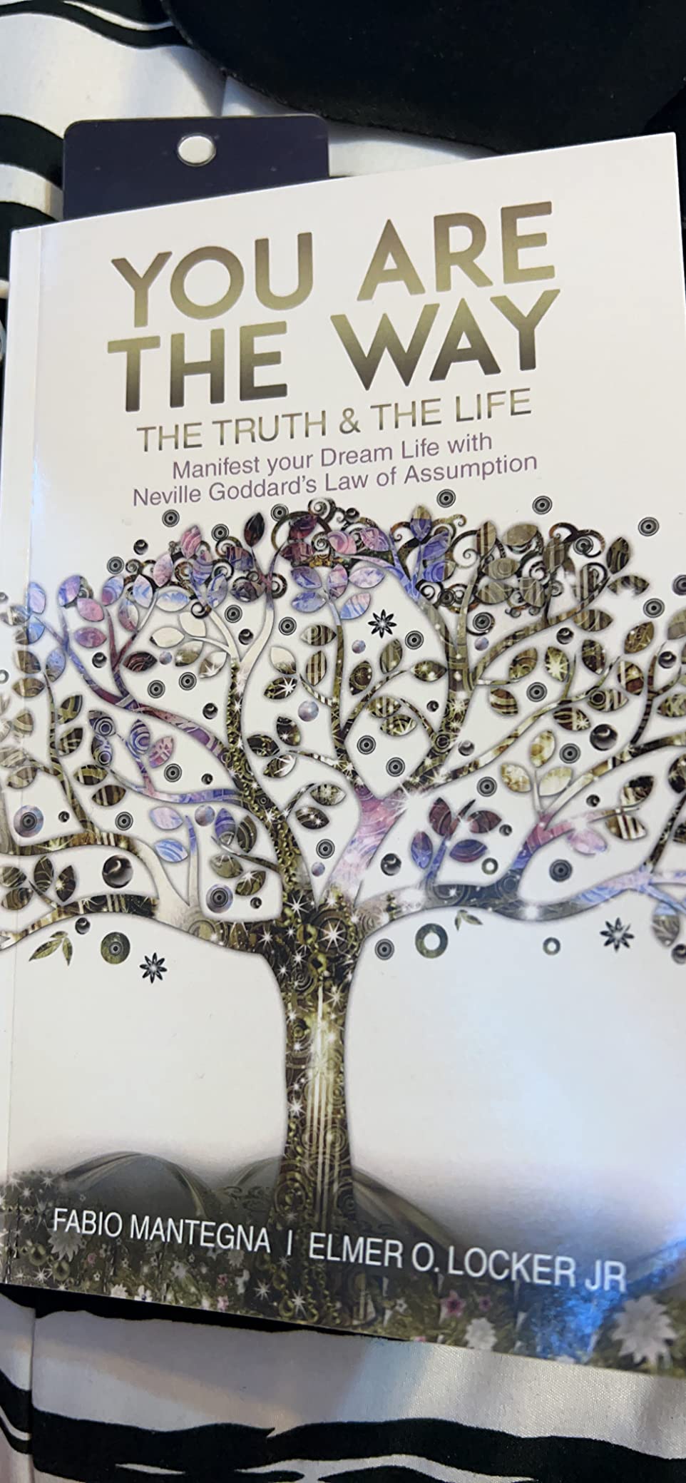 You are the Way: Manifest your Dream Life with Neville Goddard's Law of ...