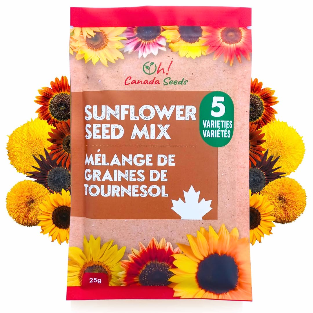 Mixed Sunflower Seeds for Planting Canada - 5 Varieties of Flower Seeds ...