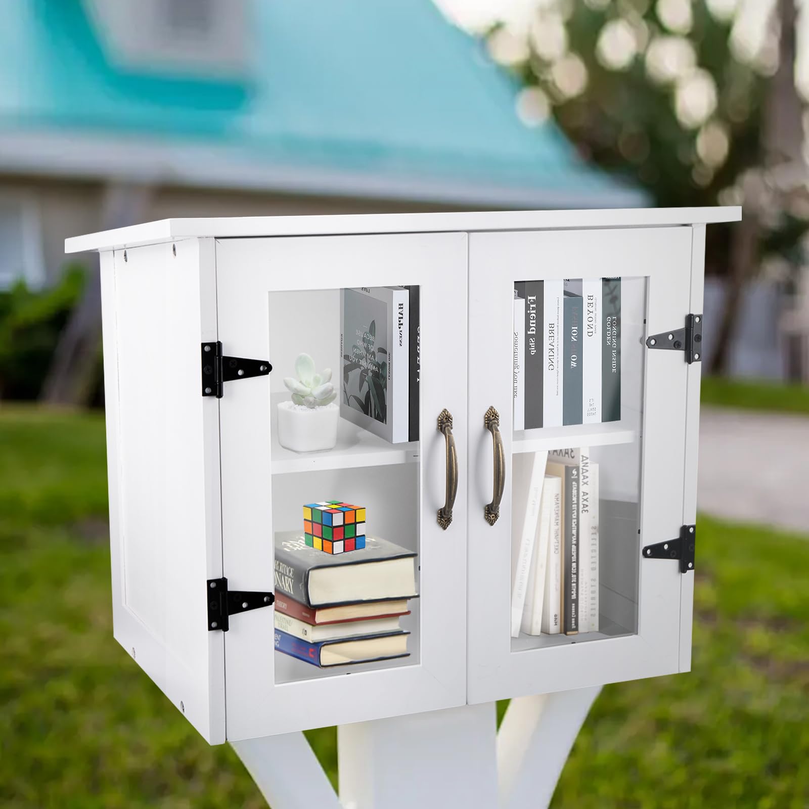 Amazon.com: GLHFSONG Outdoor Library Box for Community Book Sharing, 20 ...