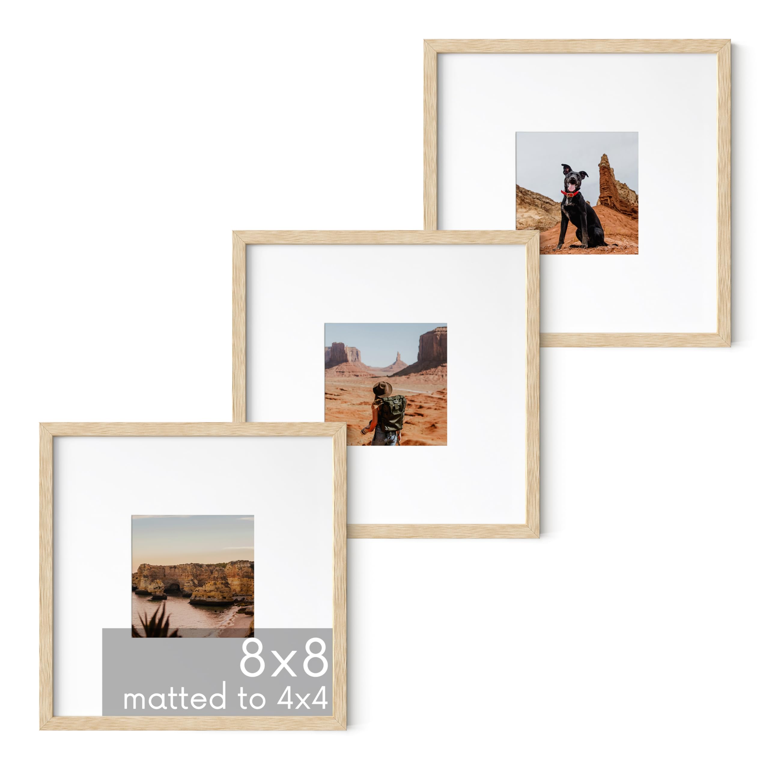 Amazon.com - HAUS AND HUES Solid Oak Wood 8”x8” Picture Frames Matted ...