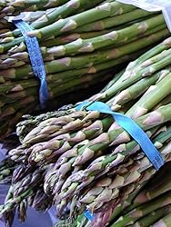 Amazon.com: Asparagus, 1 Bunch : Grocery & Gourmet Food