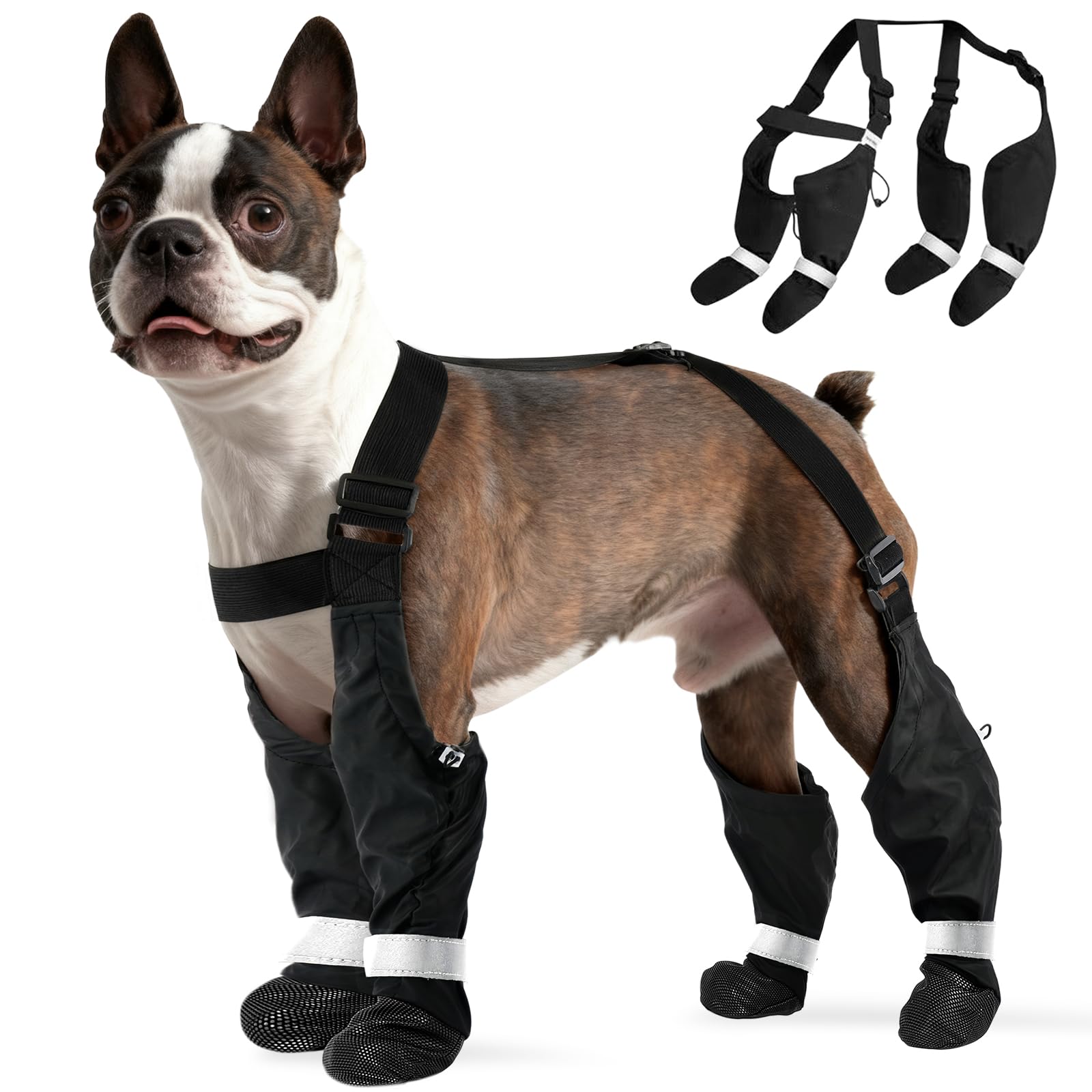 9 Best Suspender Boots For Dogs | All-Weather Paw & Leg Guards