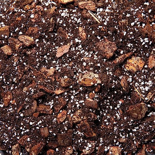 Premium Orchid Care potting Mix Enriched With Nutrients, Orchid ...