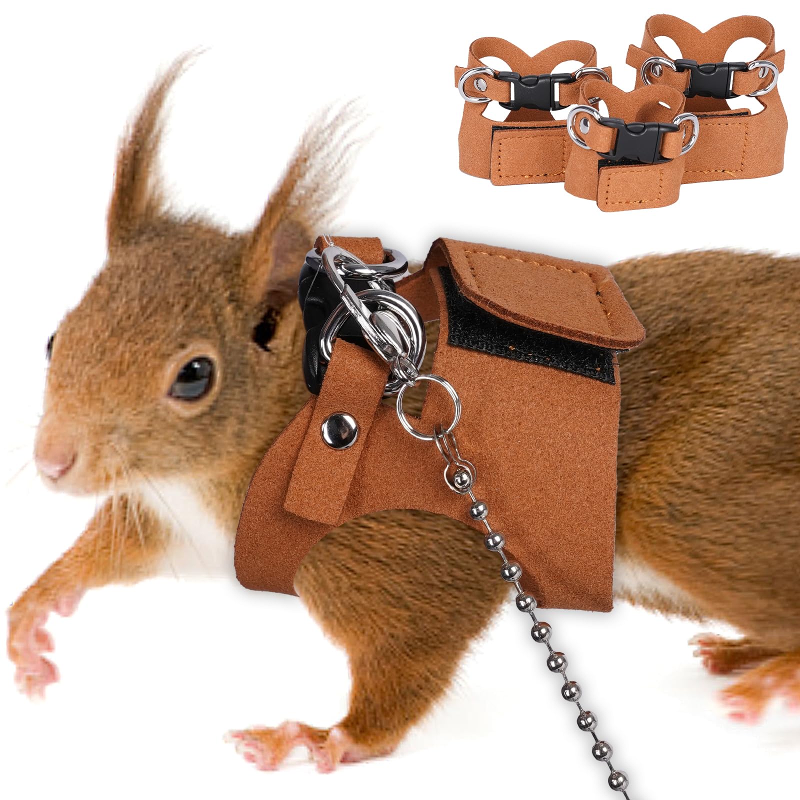 Amazon.com : Font 3 Pack Rat Harness and Leash，Squirrel Harness and ...