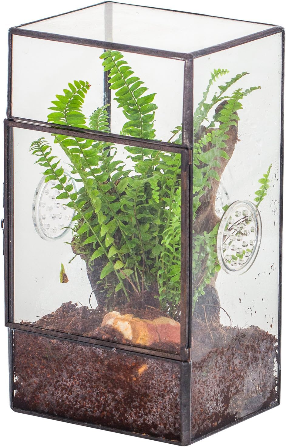 NCYP Rechteckiges Glas Terrarium mit Seitentür und drei ...