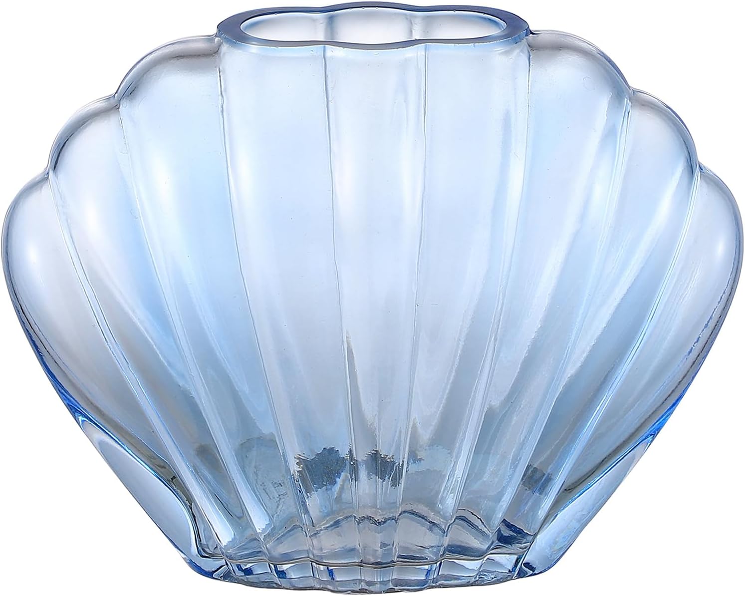 Amazon.com: MARTAGE Glass Vase, Blue Glass Flower Vase, Ribbed Seashell ...