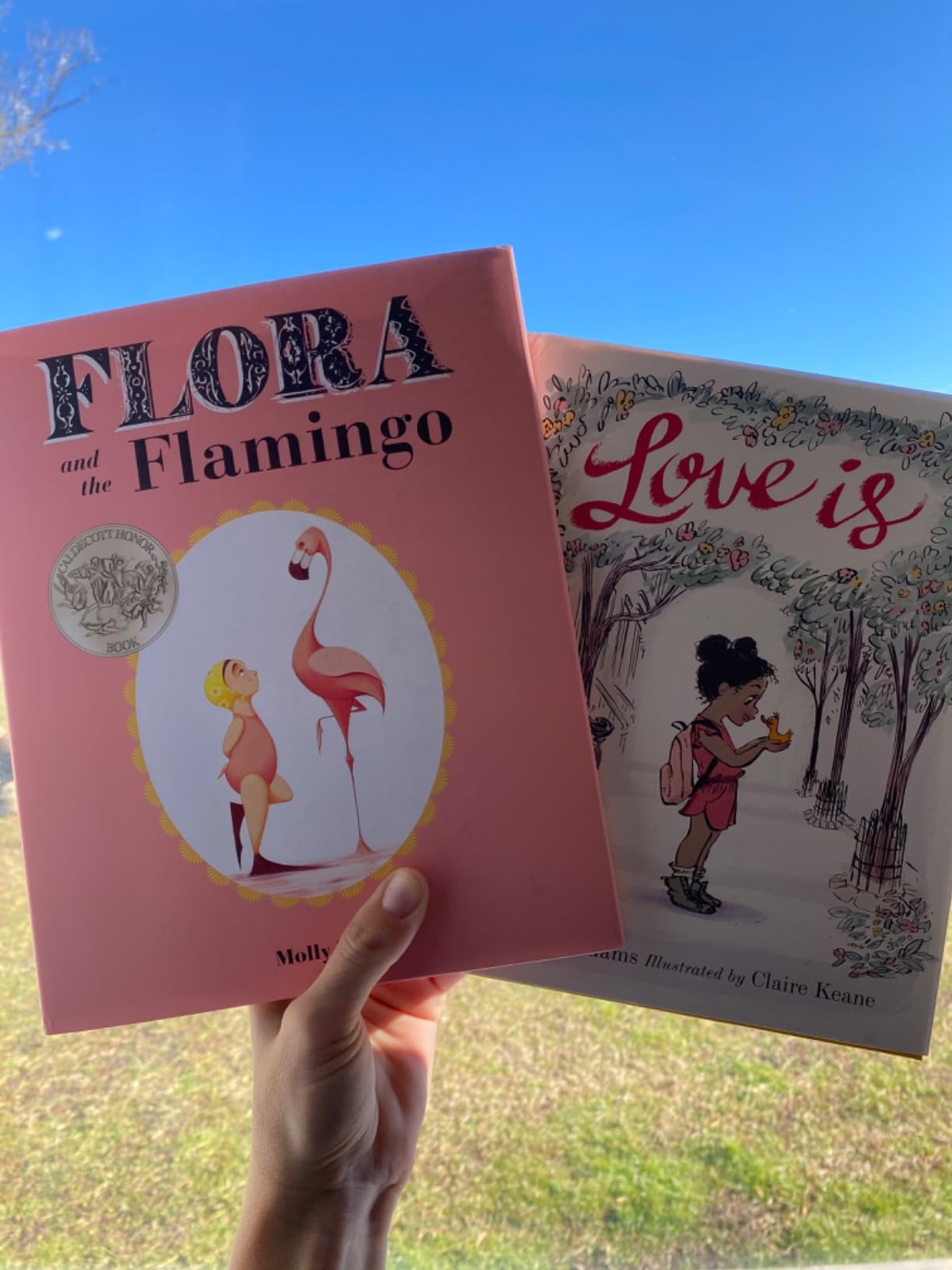 Flora and the Flamingo: Idle, Molly: 8601404759024: Amazon.com: Books