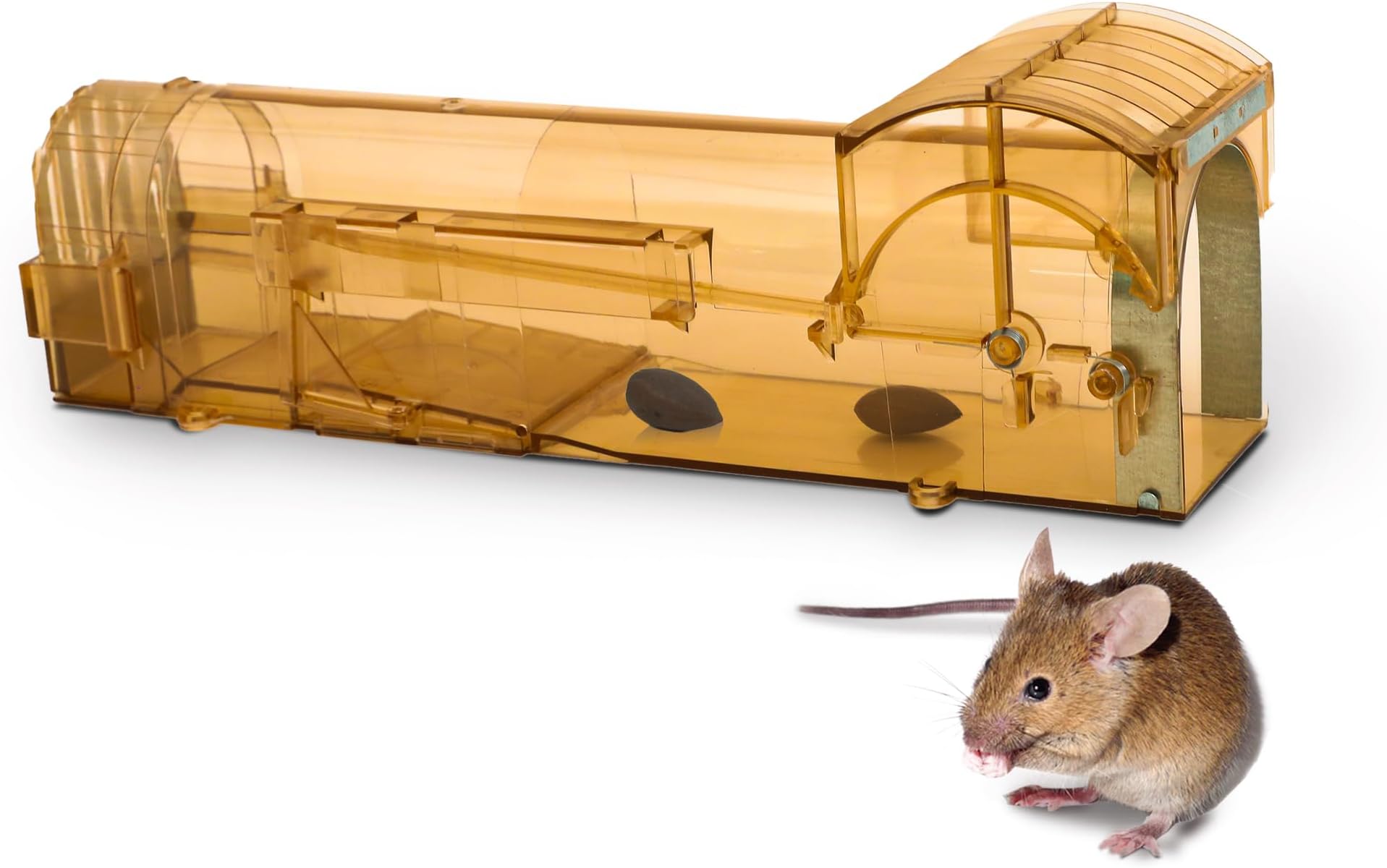 B-Free Humane Mouse Traps for Indoors and Outdoors. Live Catch and ...