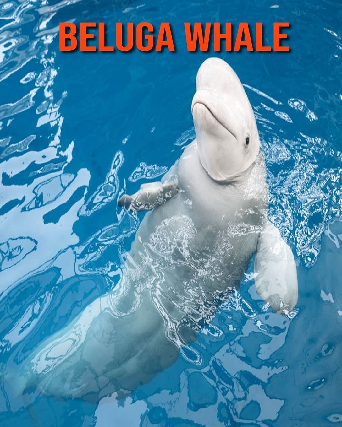 Buy Beluga Whale: Beautiful Pictures & Interesting Facts Children Book ...