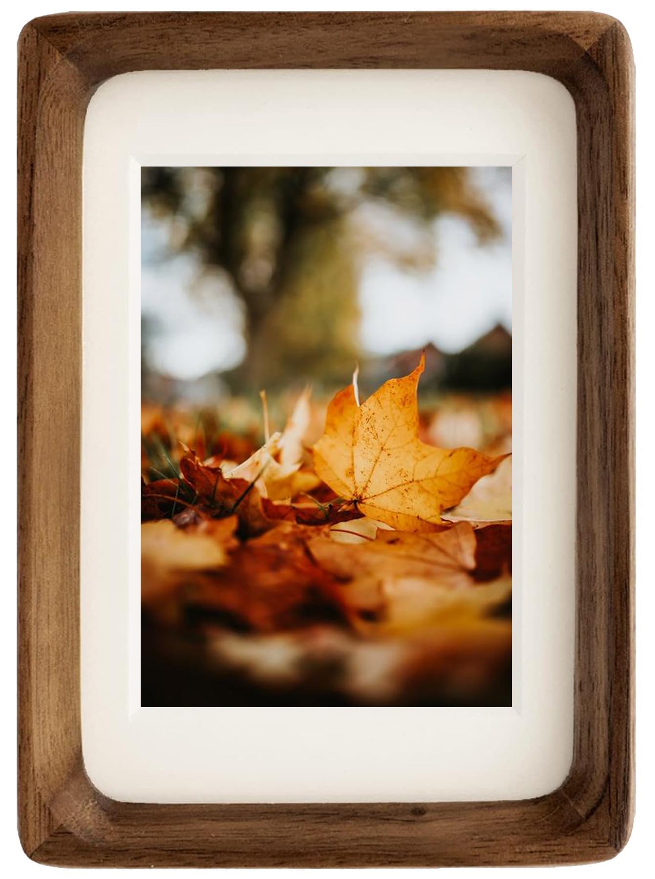 Amazon.com - Husteria 5x7 Picture Frame in Natural Walnut Wood, Solid ...