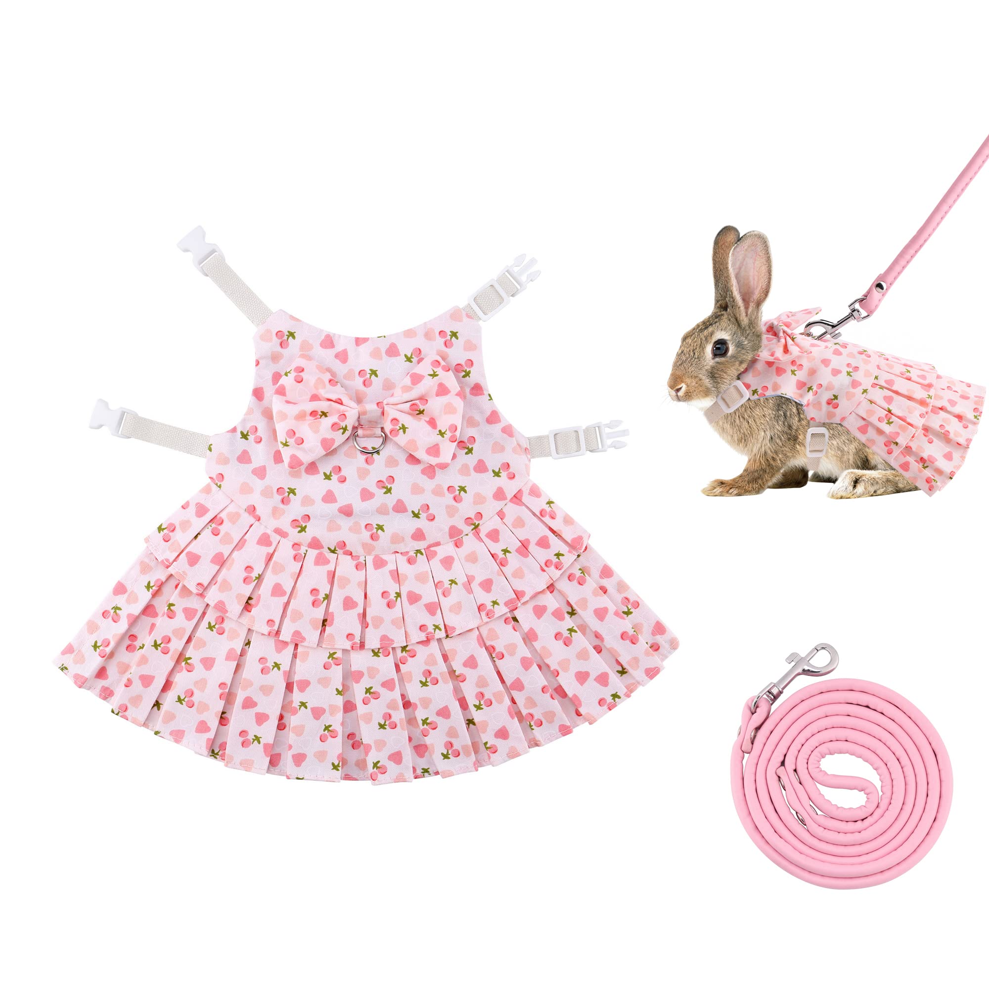 Flemish Giants In Cute Outfits