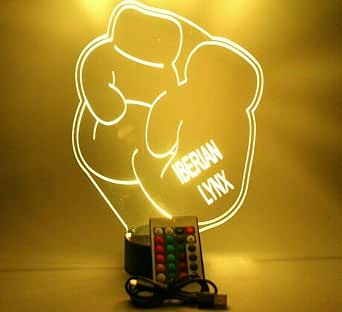 MIRROR MANIA Sports and Martial Art Ring Boxing Gloves Light Up Light ...