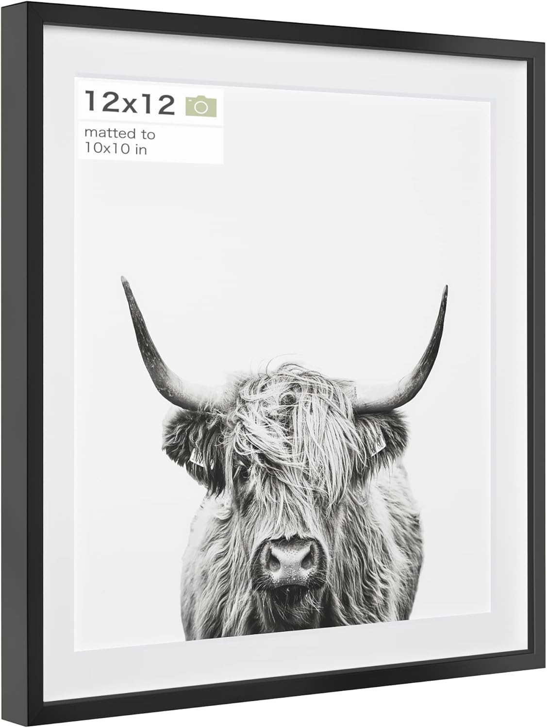 Homeforia 12 x 12 Frame Black, Premium Metal 12x12 Black Frame Matted ...