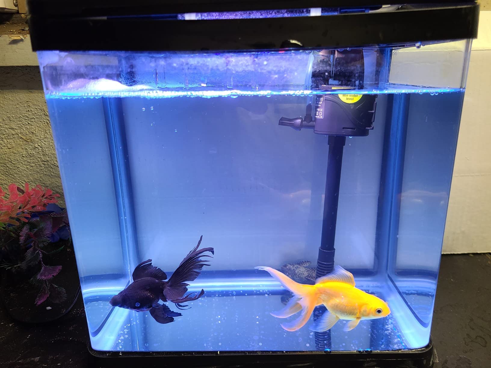 $10/mo - Finance PONDON Fish Tank, 3 Gallon Glass Aquarium, 3 in 1 Fish ...