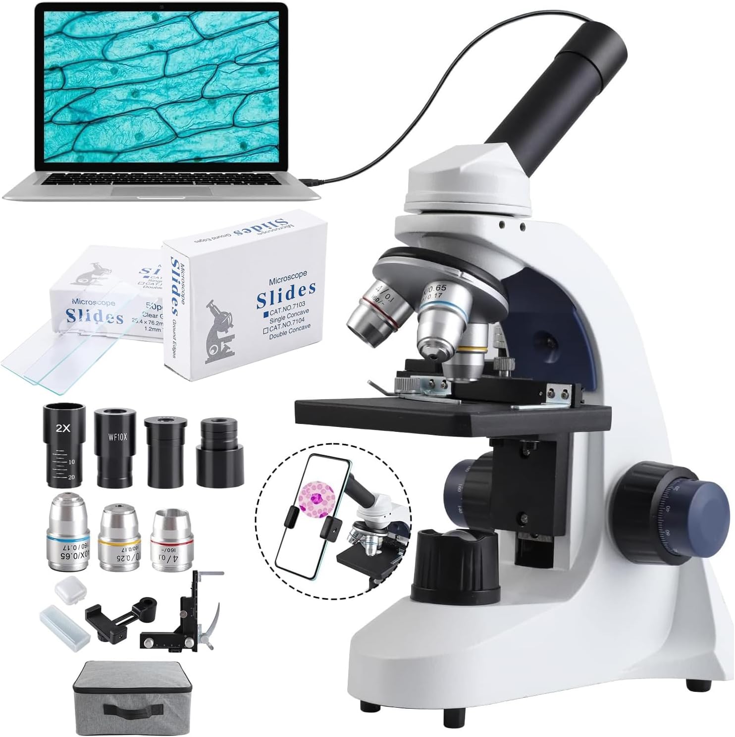 Amazon.com: 100pcs Microscope Slides Concave with Compound Monocular ...