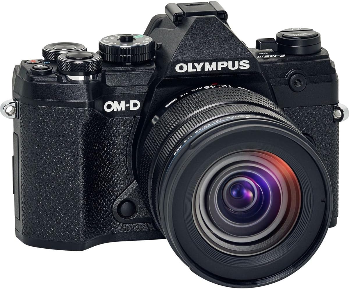 Amazon.com : OM SYSTEM OLYMPUS OM-D E-M1 Mirrorless Digital Camera with ...